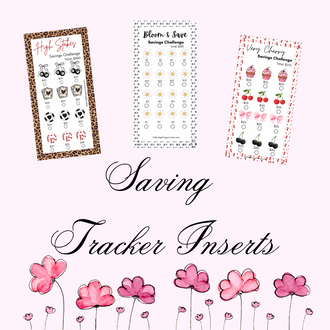 The Budgeting Princess