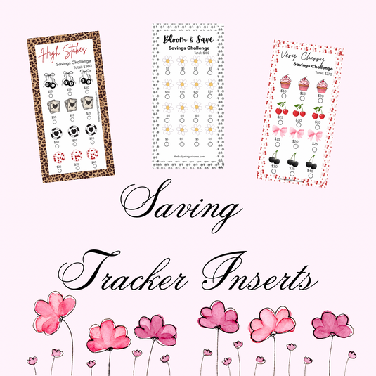 The Budgeting Princess