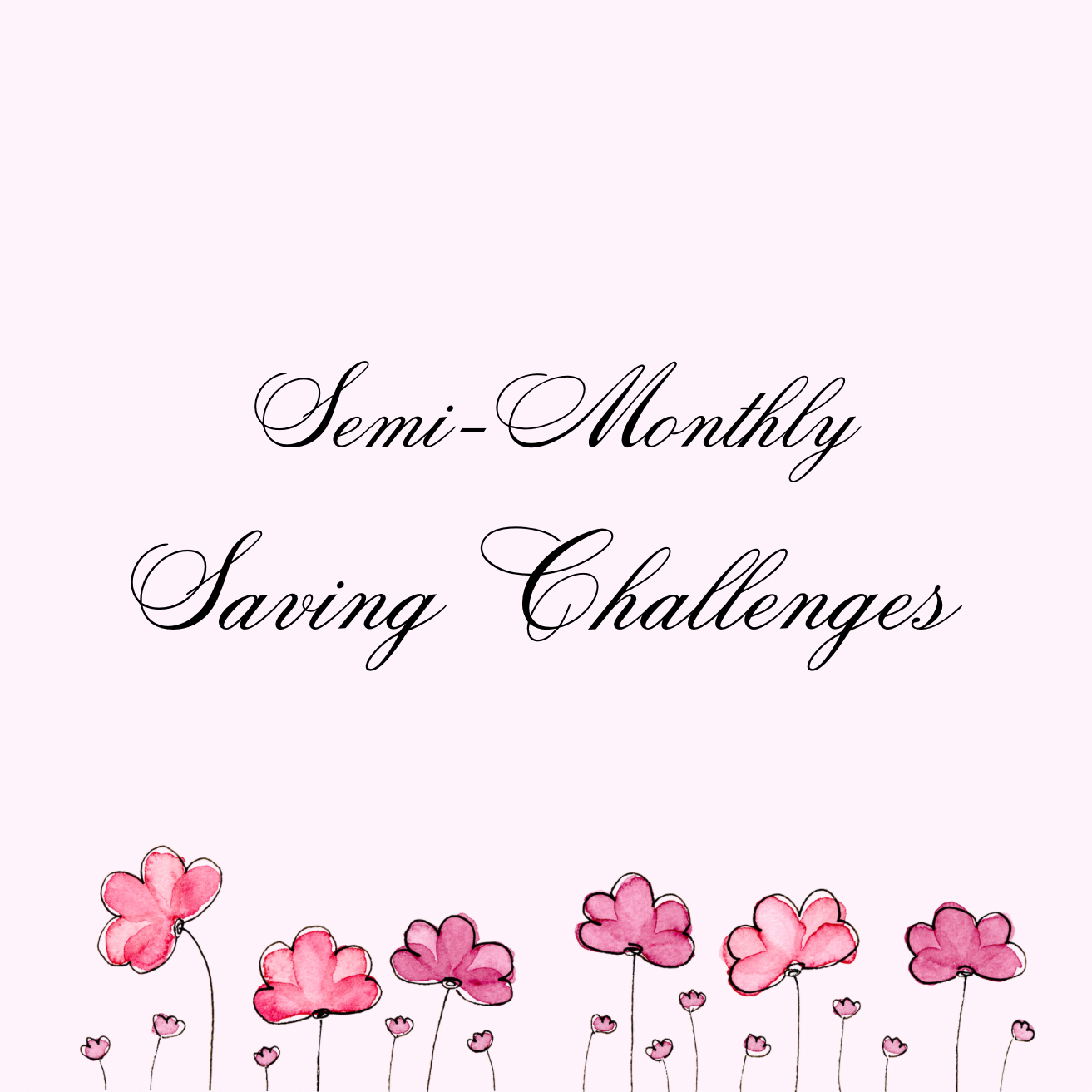 The Budgeting Princess