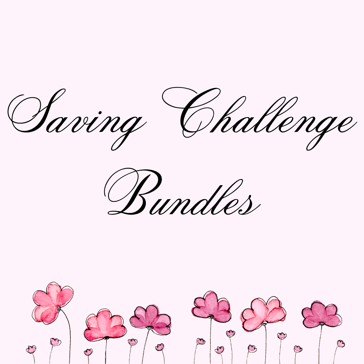 The Budgeting Princess