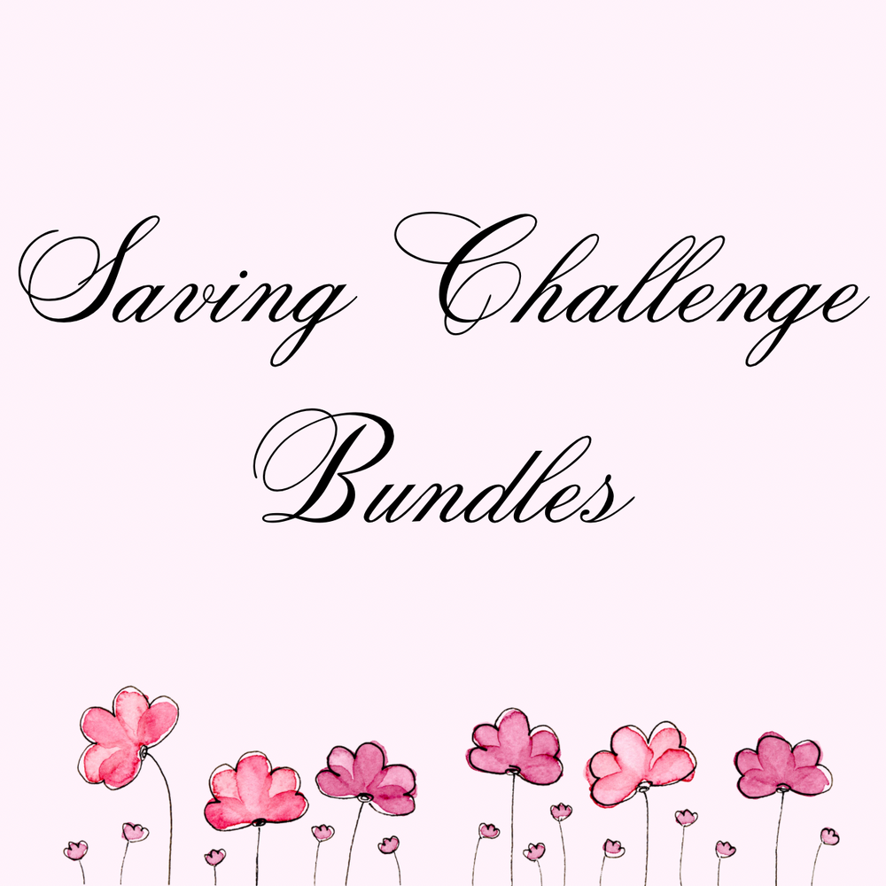 The Budgeting Princess