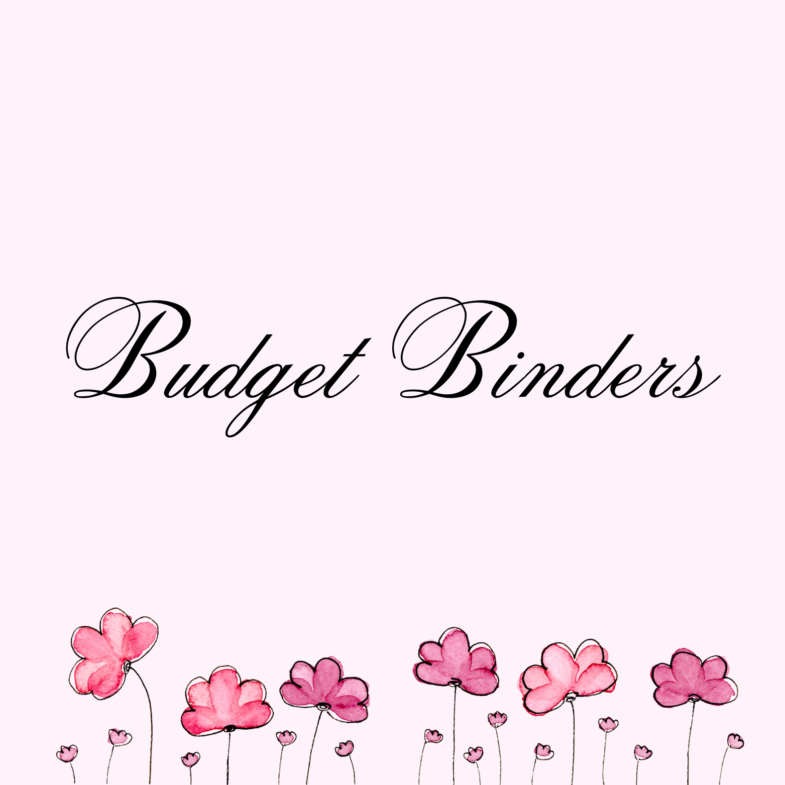 The Budgeting Princess