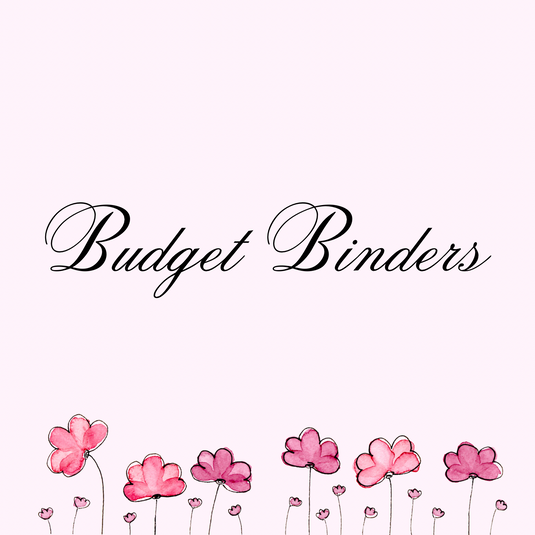 The Budgeting Princess