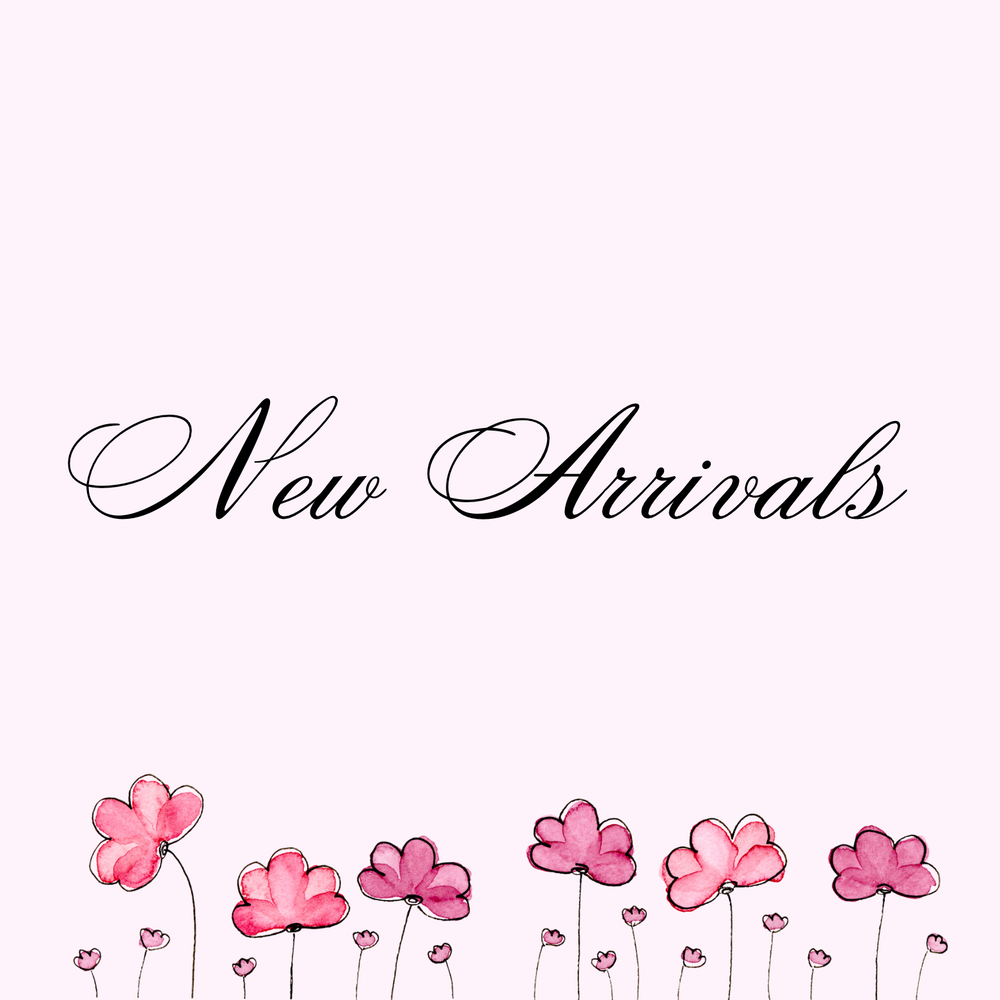 The Budgeting Princess