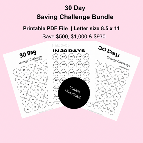 30 day challenge bundle (3 challenges) – The Budgeting Princess