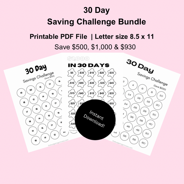 30 day challenge bundle (3 challenges) – The Budgeting Princess
