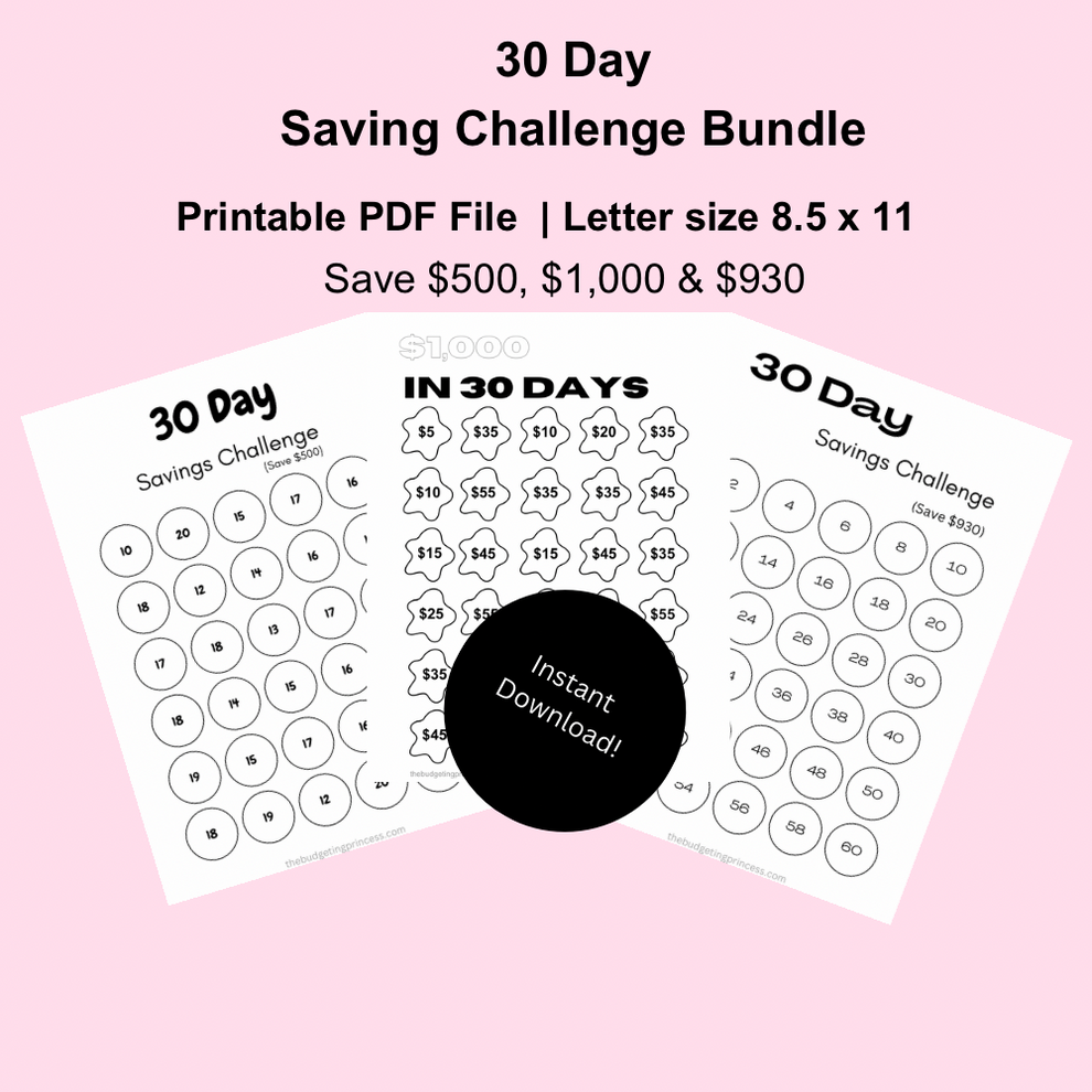 30 day challenge bundle (3 challenges) – The Budgeting Princess